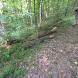 Lost Spring Trail, Tennessee - 68 Reviews, Map | AllTrails