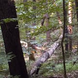 Lost Spring Trail, Tennessee - 68 Reviews, Map | AllTrails