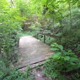 Lost Spring Trail, Tennessee - 68 Reviews, Map | AllTrails