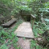 Lost Spring Trail, Tennessee - 68 Reviews, Map | AllTrails
