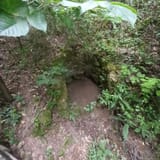 Lost Spring Trail, Tennessee - 68 Reviews, Map | AllTrails