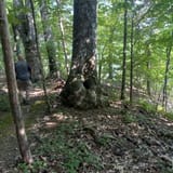 Lost Spring Trail, Tennessee - 68 Reviews, Map | AllTrails