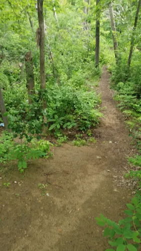 Best Hikes and Trails in Ken Steele Park | AllTrails