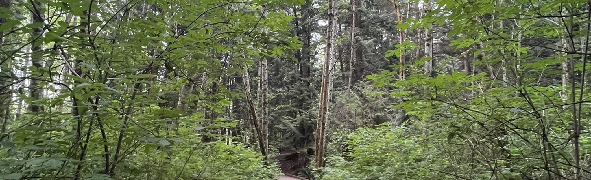 Spine Line and Boundary Trails Loop, Washington - 279 Reviews, Map ...