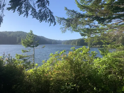 Best Walking Trails in Lakeside | AllTrails