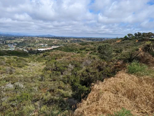 10 Best Trails and Hikes in Encinitas | AllTrails