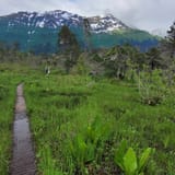 Mount Jumbo (Bradley) Trail, Alaska - 230 Reviews, Map | AllTrails