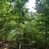 Lost Spring Trail, Tennessee - 68 Reviews, Map | AllTrails