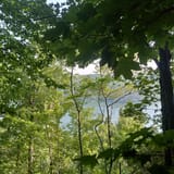 Lost Spring Trail, Tennessee - 68 Reviews, Map | AllTrails