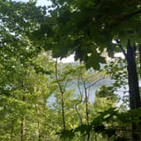 Lost Spring Trail, Tennessee - 68 Reviews, Map | AllTrails