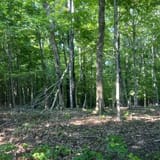 Lost Spring Trail, Tennessee - 68 Reviews, Map | AllTrails