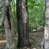 Lost Spring Trail, Tennessee - 68 Reviews, Map | AllTrails