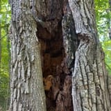 Lost Spring Trail, Tennessee - 68 Reviews, Map | AllTrails