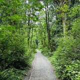 Talus Rocks Loop, Washington - 1,374 Reviews, Map | AllTrails