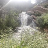Silver Cascade Falls Trail, Colorado - 829 Reviews, Map | AllTrails