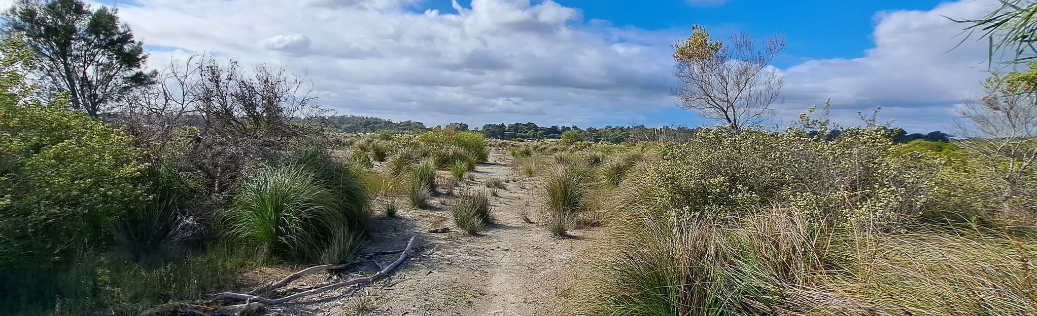Lake Cooloongup Fire Trail Loop: 42 Reviews, Map - Western Australia ...