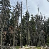 Paulina Hot Springs via Little Crater and Paulina Lakeshore Trails ...