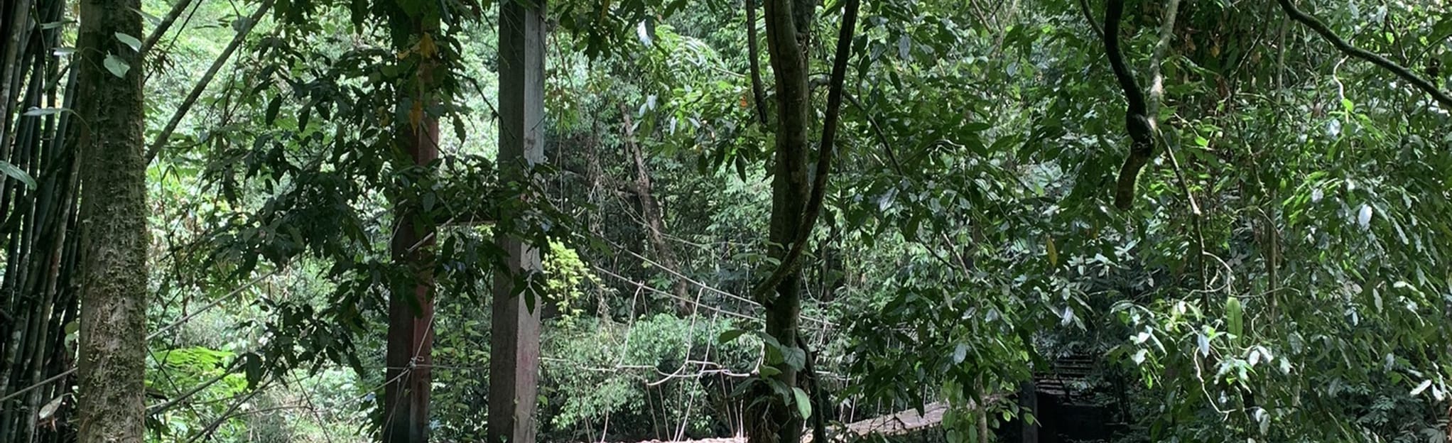 Wing Hin Waterfall: 15 Reviews, Map - Phang Nga, Thailand | AllTrails