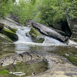 Steels Creek Falls Trail, North Carolina - 89 Reviews, Map | AllTrails