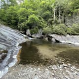 Steels Creek Falls Trail, North Carolina - 89 Reviews, Map | AllTrails