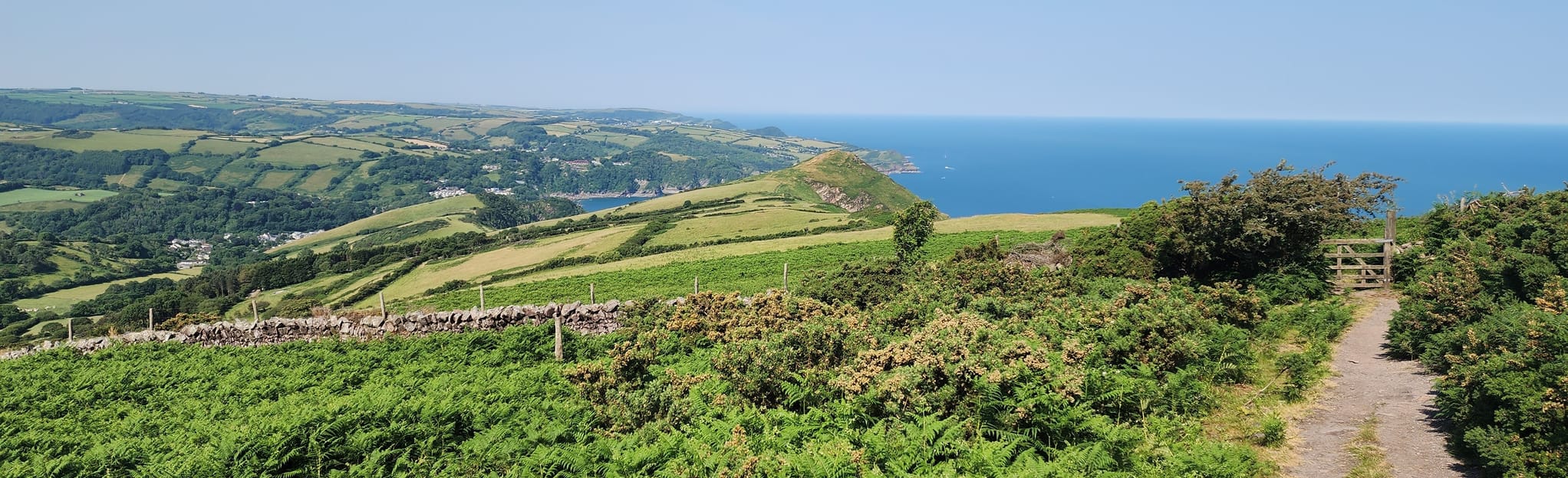 Jose's Lane - Wild Pear Beach, Devon, England - 12 Reviews, Map | AllTrails