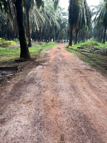 2023 Best Trails, Walks, and Paths in Padang Serai | AllTrails