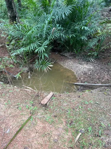 Best Hikes and Trails in Padang Serai | AllTrails