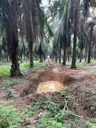 Best Hikes and Trails in Padang Serai | AllTrails