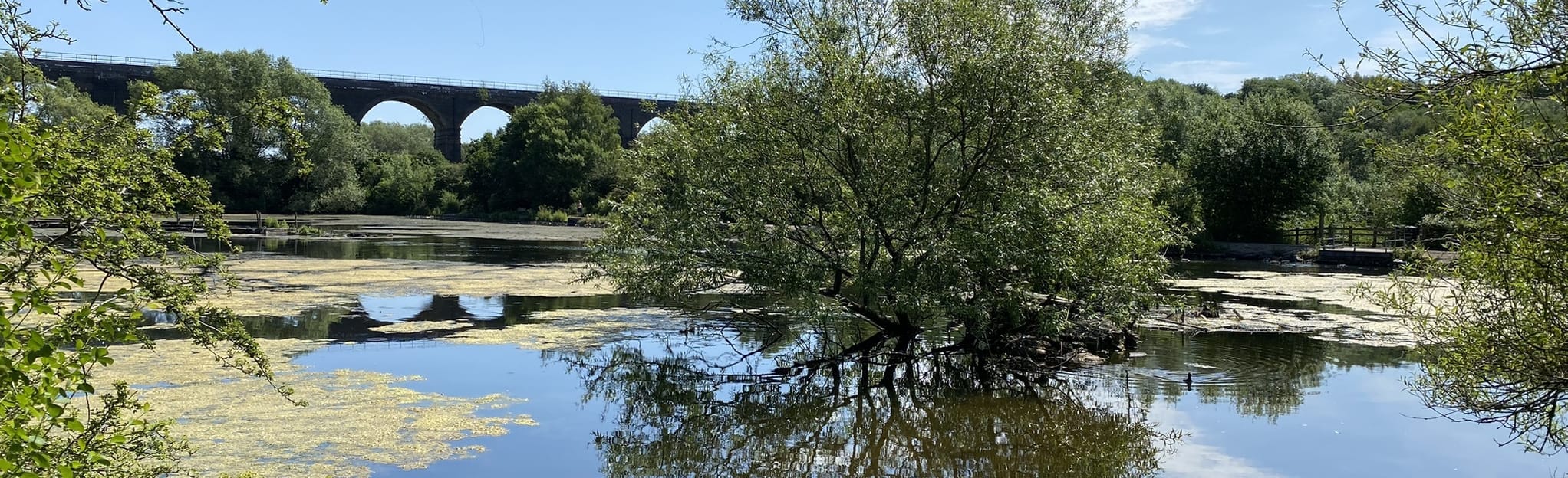 Reddish Vale and Werneth Low Circular, Greater Manchester, England - 33 ...