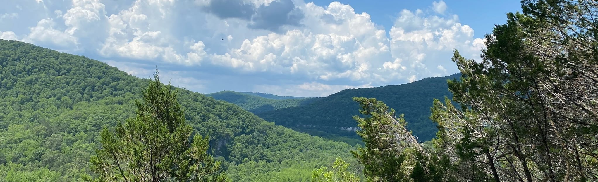 Centerpoint to Goat Trail: 2,737 Reviews, Map - Arkansas | AllTrails