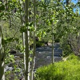 Government Springs 95A, Arizona - 449 Reviews, Map | AllTrails