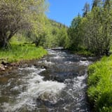 Government Springs 95A, Arizona - 449 Reviews, Map | AllTrails