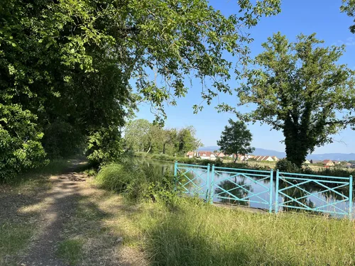 Best Hikes and Trails in Colmar | AllTrails