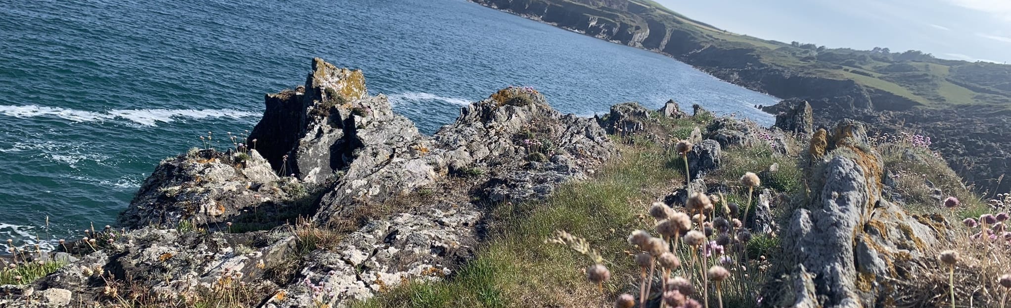 Sandy Cove Coastal Trail, County Cork, Ireland - Map, Guide | AllTrails