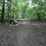 Trotter Bluff Loop , Tennessee - 307 Reviews, Map | AllTrails