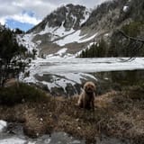 Goodwin Lake Trail, Wyoming - 320 Reviews, Map | AllTrails
