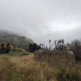 Baron Ranch Trail, California - 208 Reviews, Map | AllTrails