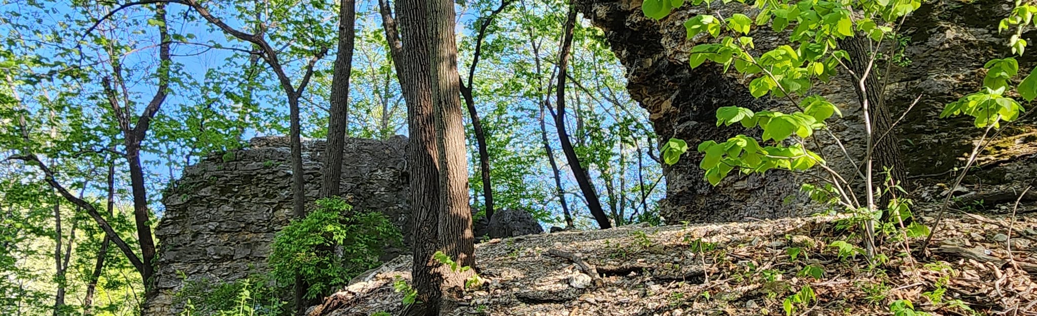 Roanoke Park Trail: 117 Reviews, Map - Missouri | AllTrails