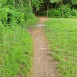 Colyer Lake Loop, Pennsylvania - 633 Reviews, Map | AllTrails