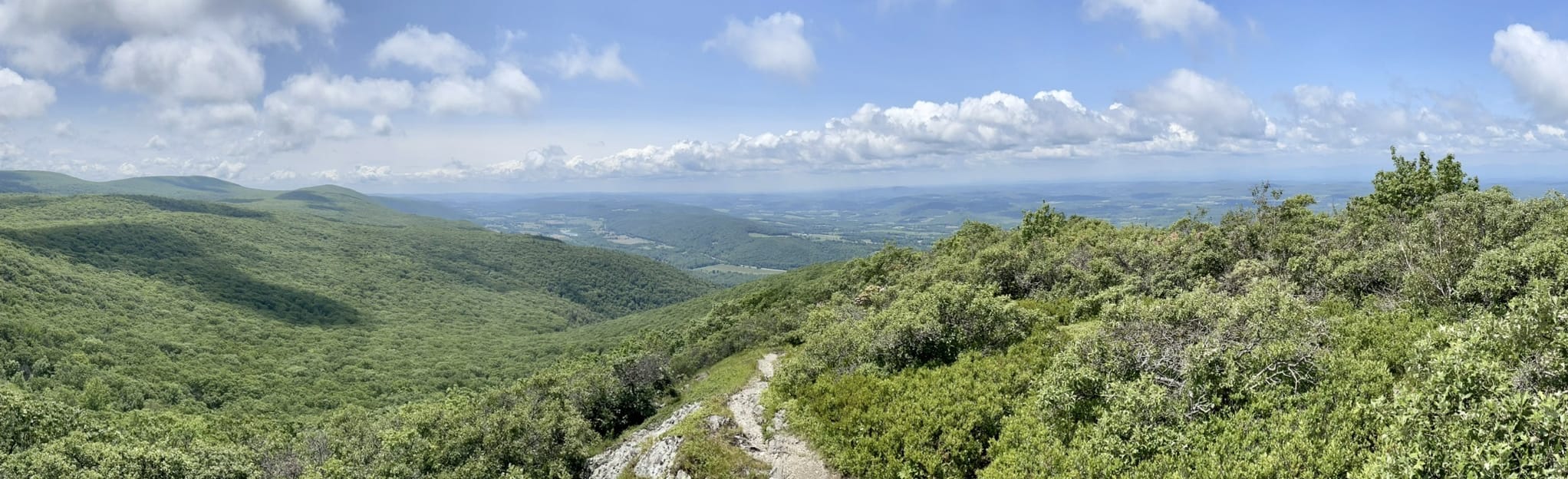 Mount Fissell Trail to Alander Mountain Trail, Massachusetts - 53 ...