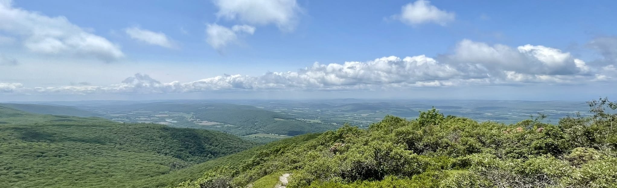 Alander Mountain Trail, Massachusetts - 817 Reviews, Map | AllTrails