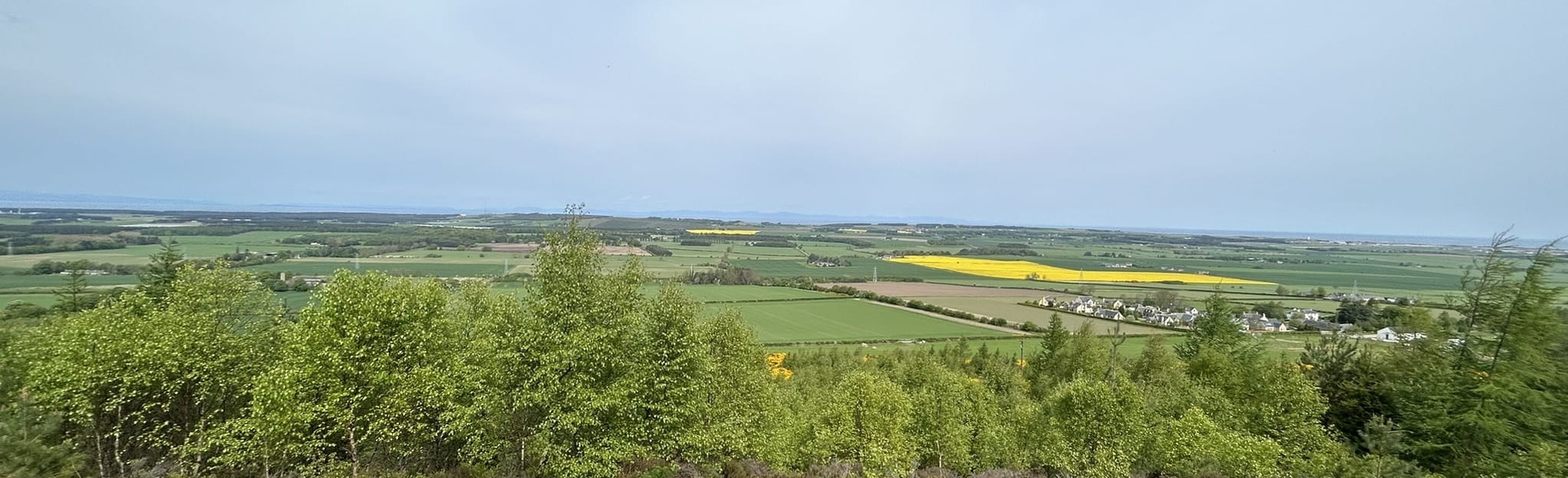 Quarry Wood Elginia Trail: 15 Reviews, Map - Moray, Scotland | AllTrails