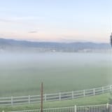 Damonte Ranch Wetland Loop, Nevada - 1,083 Reviews, Map | AllTrails