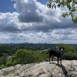 Southern Middlesex Fells Loop, Massachusetts - 1,606 Reviews, Map ...