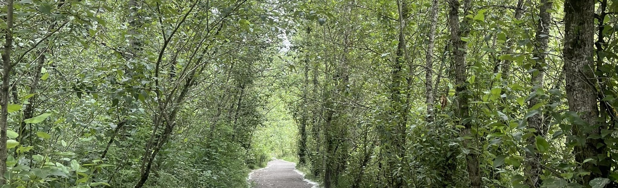 Thousand Acres, Ranch Dike and Meadows Loop, Oregon - 51 Reviews, Map ...