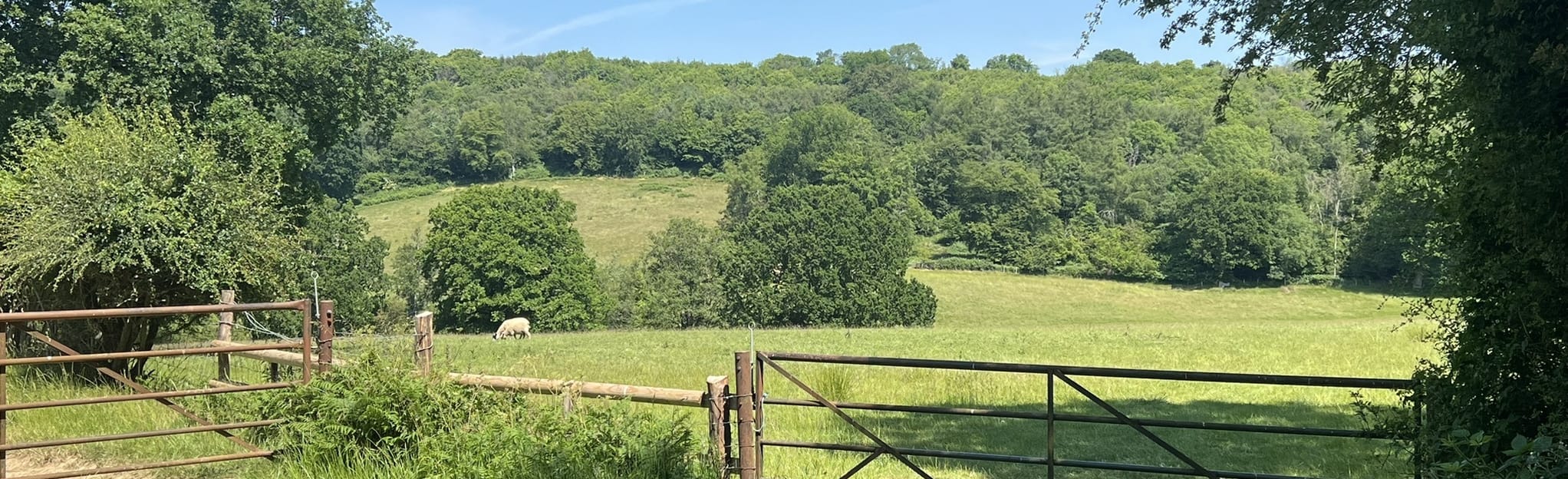 Wadhurst Bewl Water Circular, East Sussex, England - 75 Reviews, Map ...