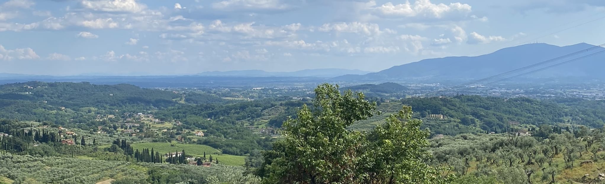 Colline Capannoresi: Tofori - Petrognano - San Gennaro: 1 Reviews, Map ...