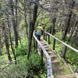 Berry Hill Trail, Newfoundland and Labrador, Canada - 135 Reviews, Map ...