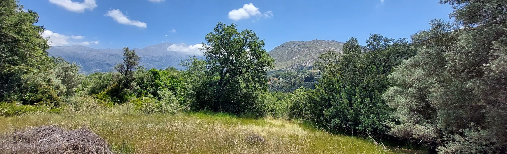 Amari Valley, Crete, Greece - 21 Reviews, Map | AllTrails