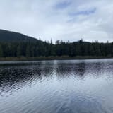 Grayling Lake Trail, Alaska - 108 Reviews, Map | AllTrails